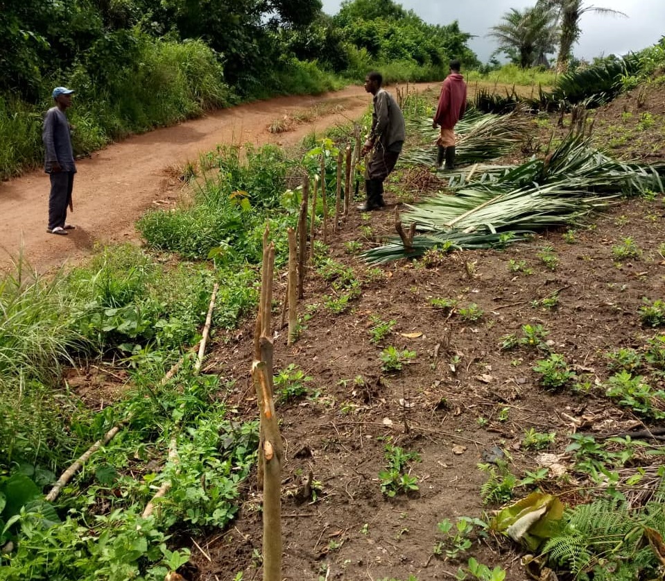 News | LIBERIA AGRICULTURE for NATIONAL DEVELOPMENT (LAND) Liberia